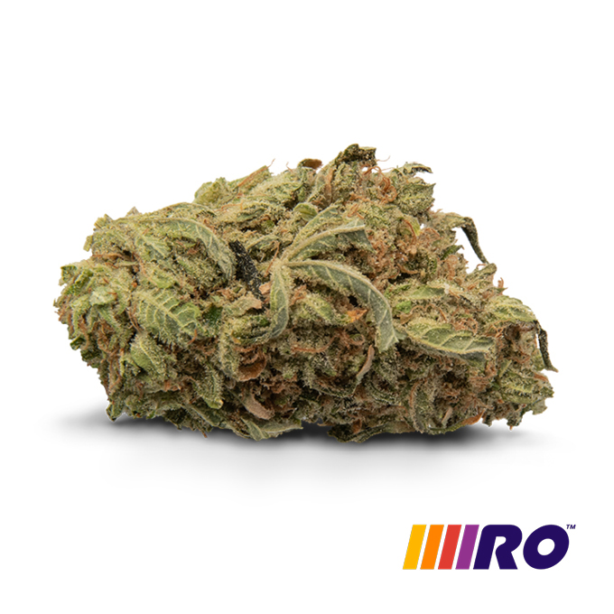 Roll One Flower | Member Berry | 3.5G West Virginia Trulieve