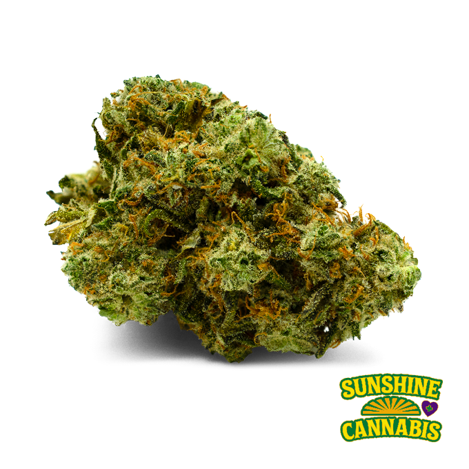 Aurora Borealis Weed Northern Lights Aka NL Weed Strain Information