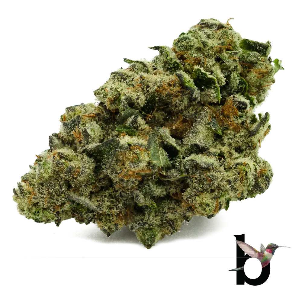 Shop BSK-FLOWER-3.5G-GARLICCOCKTAIL-I-FL Online | Trulieve