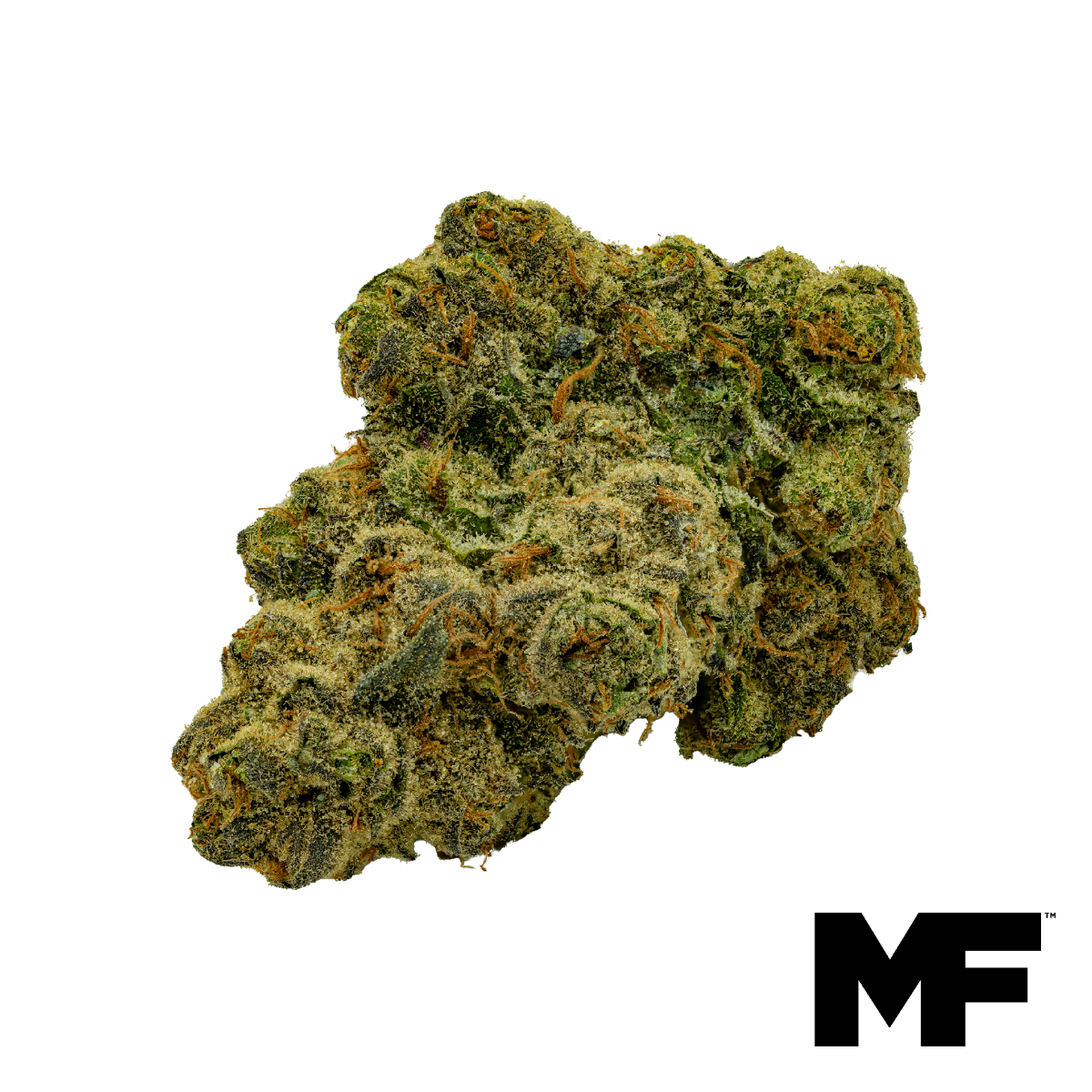 Modern Flower | 14G Flower | Mountain Trop | Trulieve