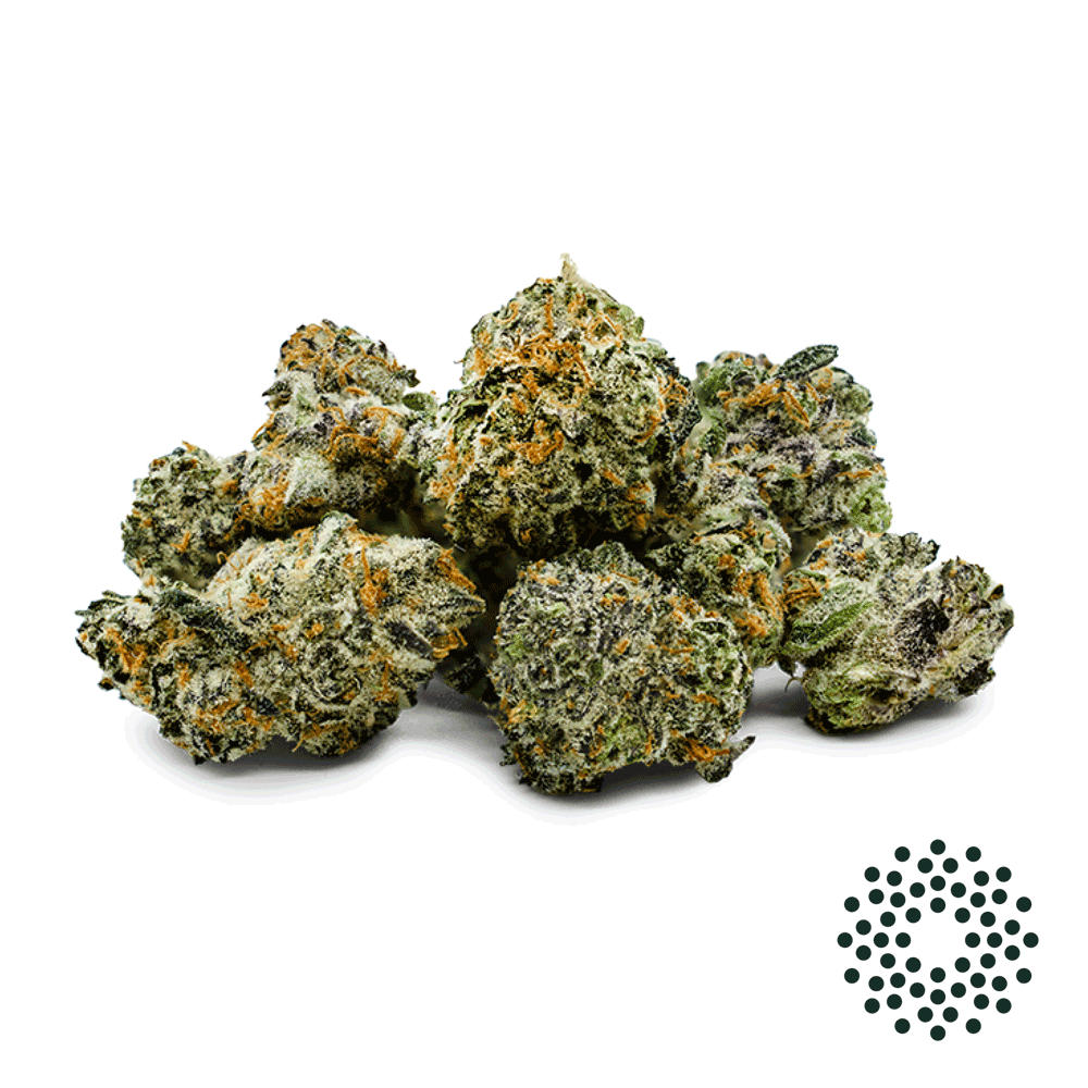 Shop TRU-FLOWER-14G-TROPICALCREAMCK-I-FL Online | Trulieve