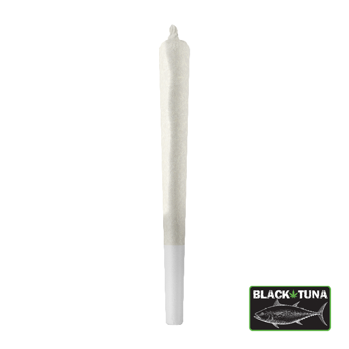 Bluefin - Single PreRoll 1G Bluefin - Single PreRoll 1G