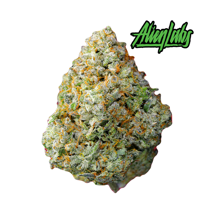 Area 41 - Whole Flower 3.5G