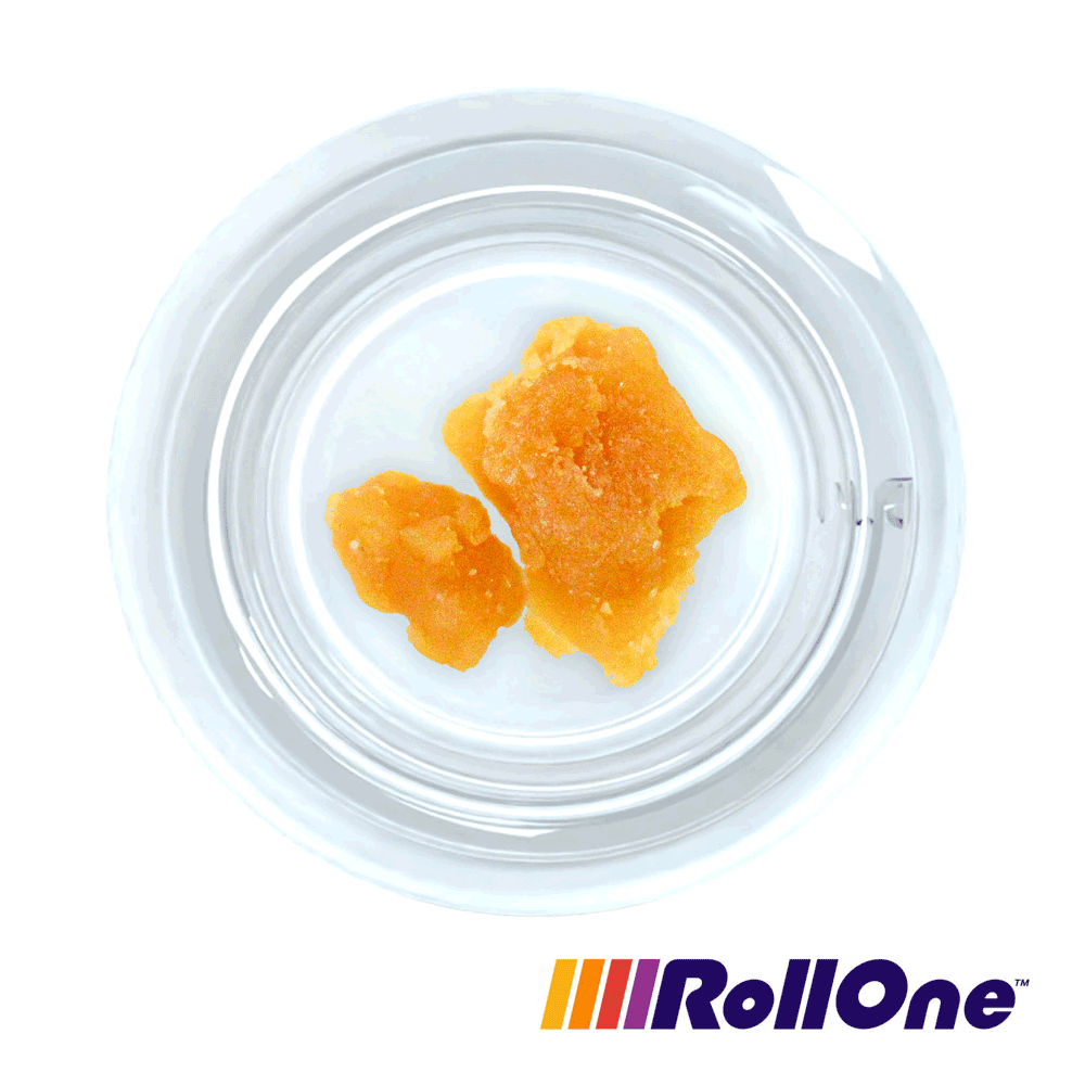 Gasoline Dream - Crumble 1G