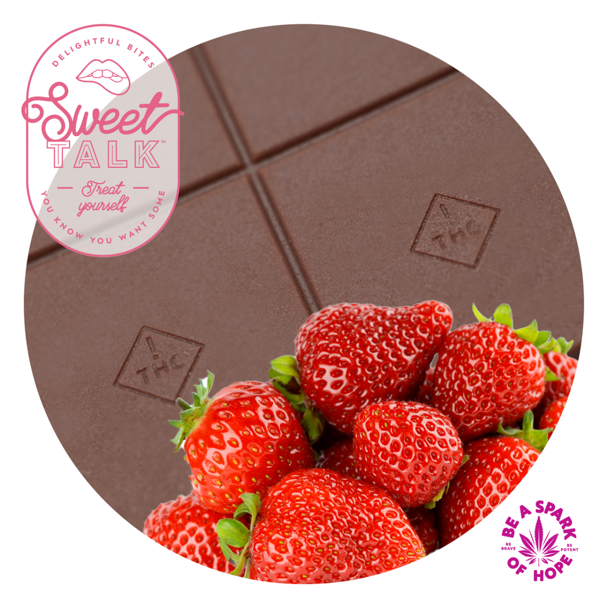 Strawberry - Chocolate 100mg