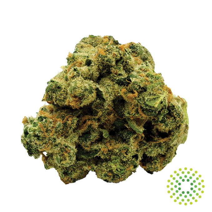 Banana Power - Whole Flower 3.5G