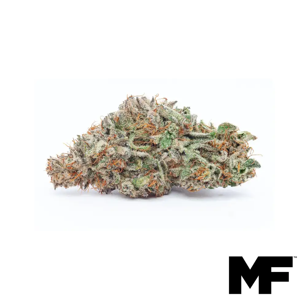 Solomon Grundy - Whole Flower 3.5G