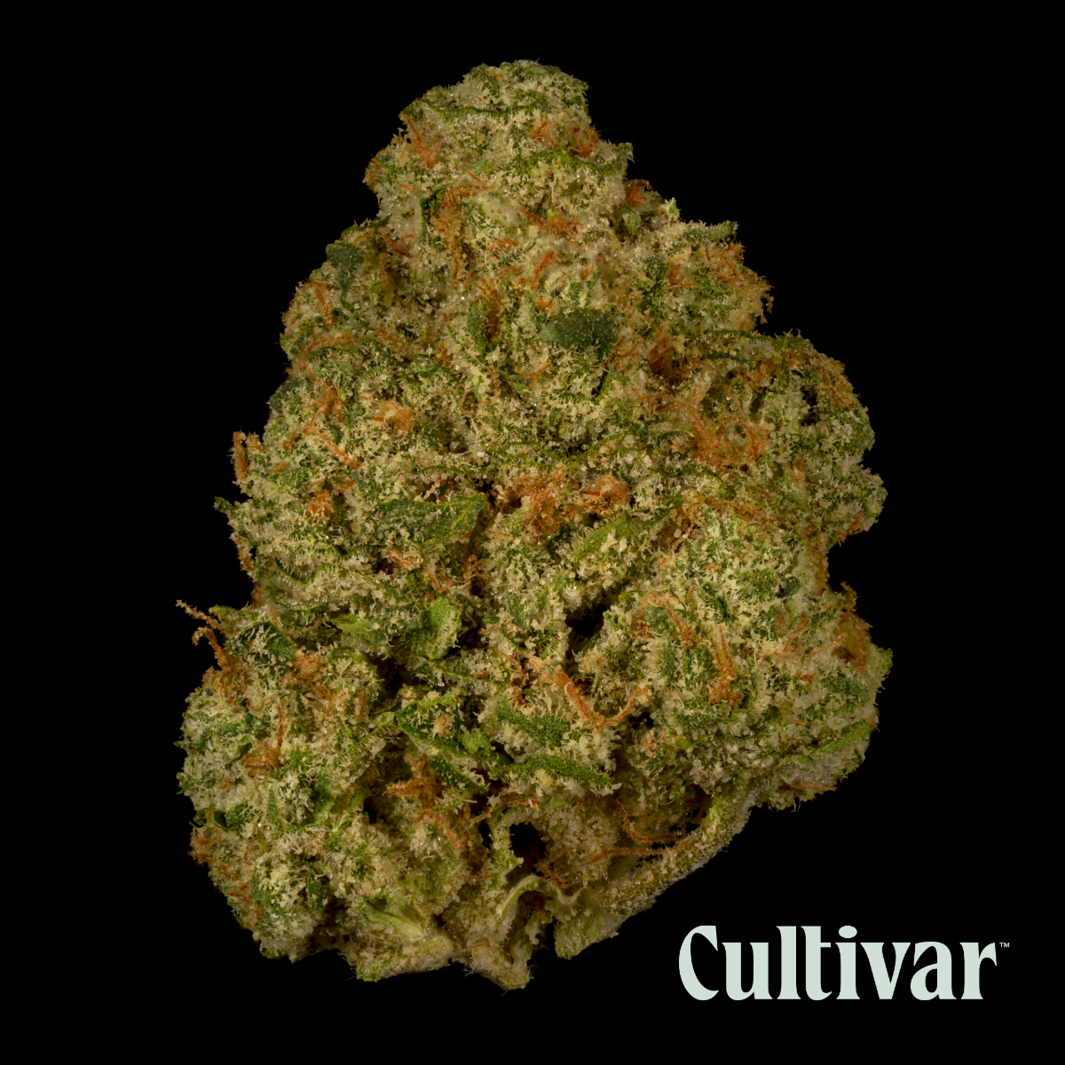 Hybrid