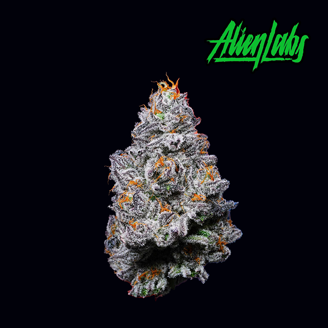 Krypto Chronic - Whole Flower 3.5G