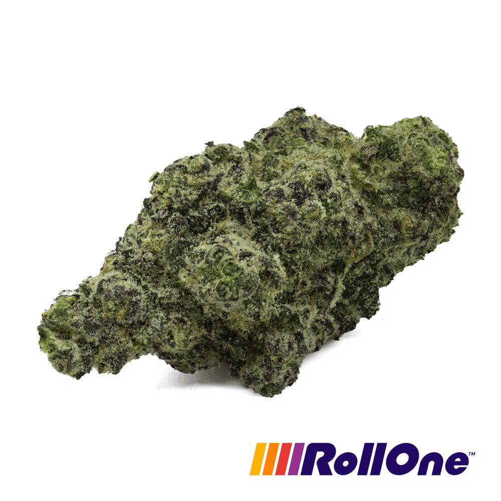 Shop RO-FLOWER-3.5G-GSHCK-I-FL Online | Trulieve