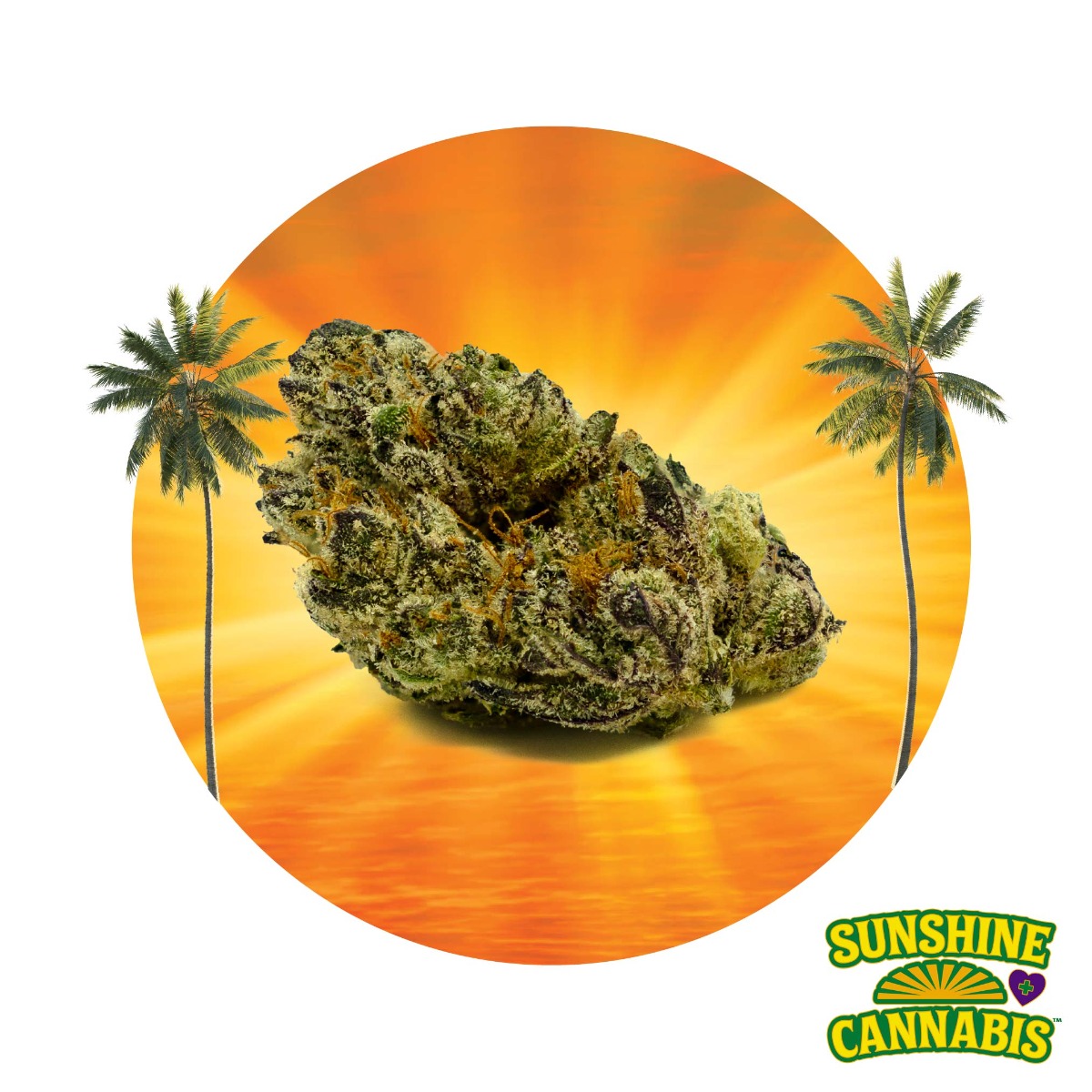 Sunshine Cannabis Flower | Red Apple Fritterz | 3.5G Florida