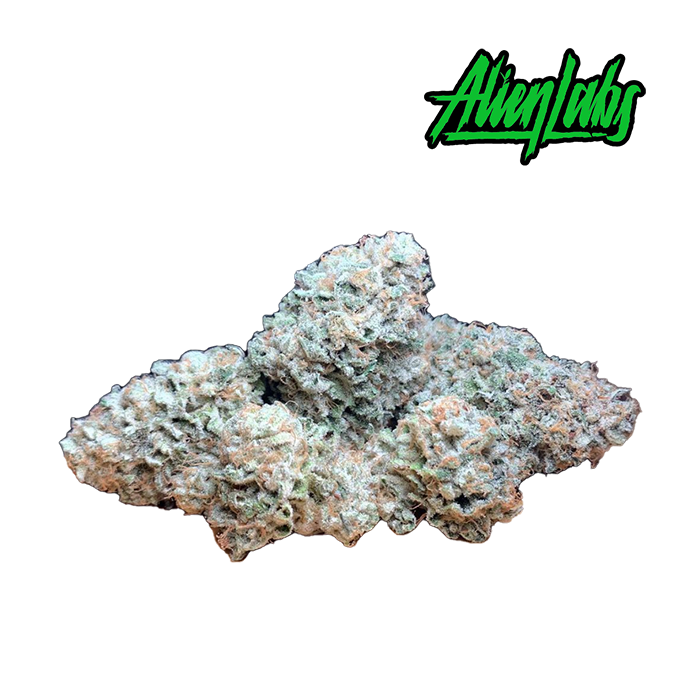 AlienLabs Flower | Xeno | 3.5G | Florida | Trulieve